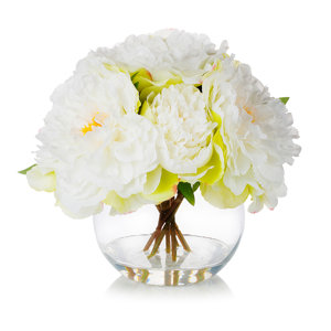 Primrue Peony Floral Arrangement In Vase Wayfair